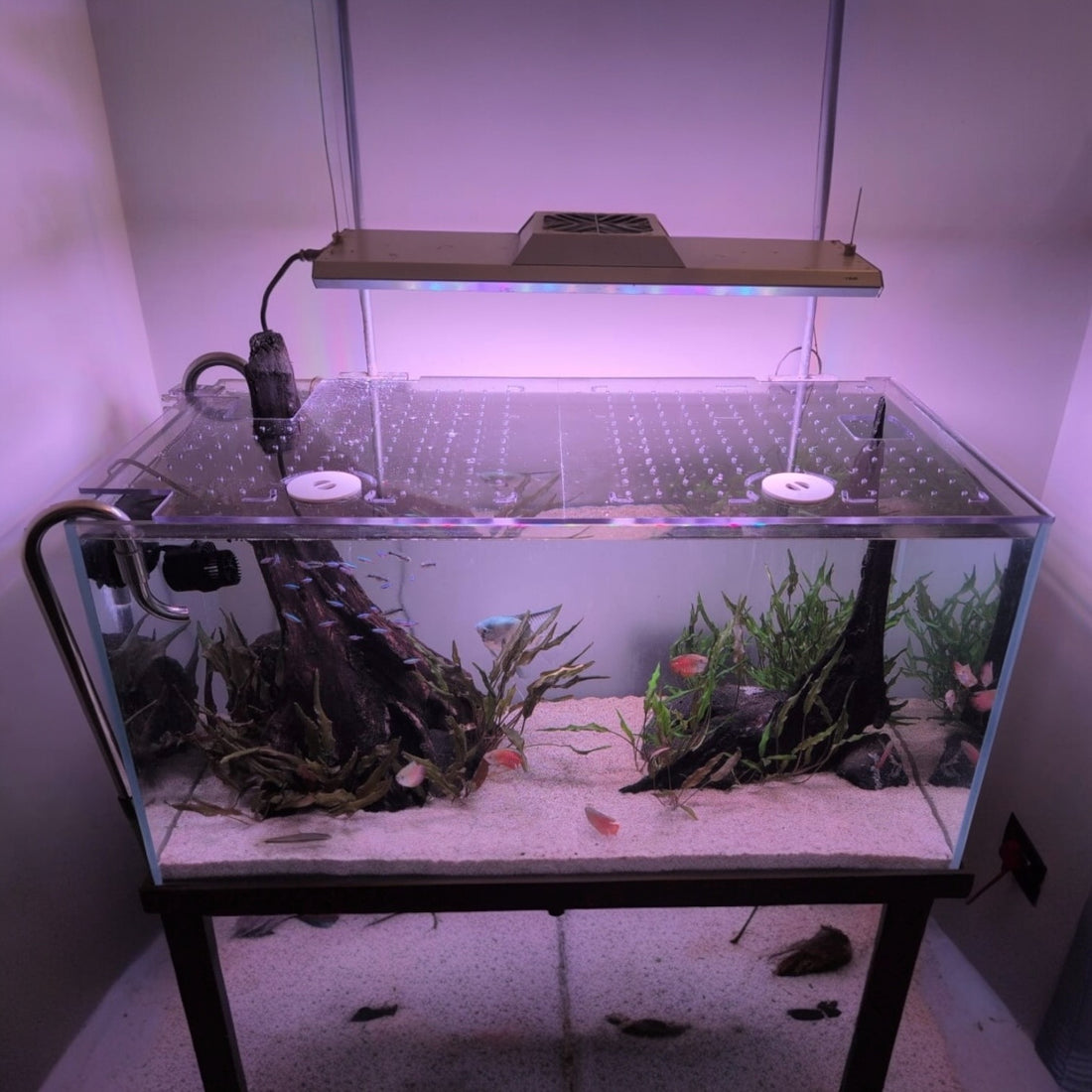 Products24 Store | Custom Aquarium Lids | Custom Aquarium Products