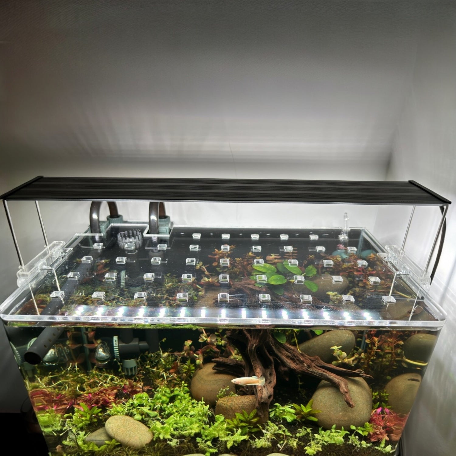 Products24 Store | Custom Aquarium Lids | Custom Aquarium Products